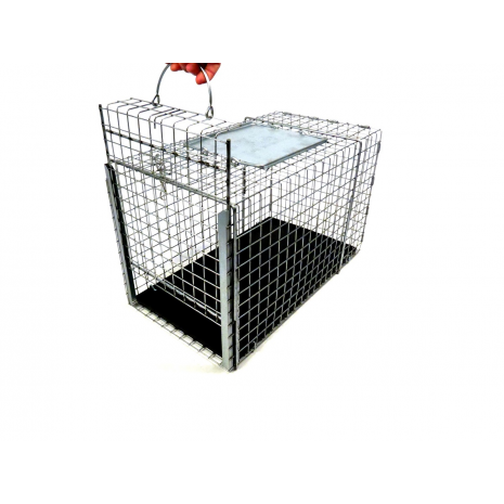 Cat Transfer Cage Designed by Neighborhood Cats Organization (306NC ...